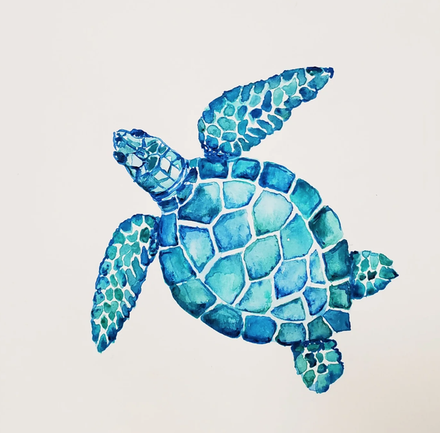 Sea Turtle Watercolor Marker Class